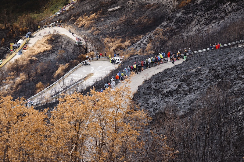 新人王のペリツァーリがグランツール初V【ブエルタ・ア・エスパーニャ17S】 - PRESSPORTS